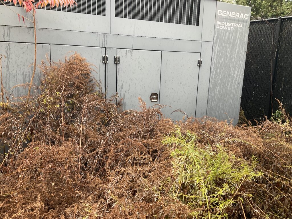 6 Essential Landscaping Tips To Increase Generator Reliability - Weld ...